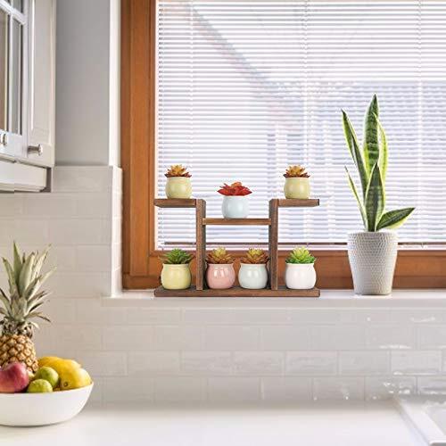 Wood Desktop Plant Stand Indoor Small Windowsill Flower Shelf Tabletop ...