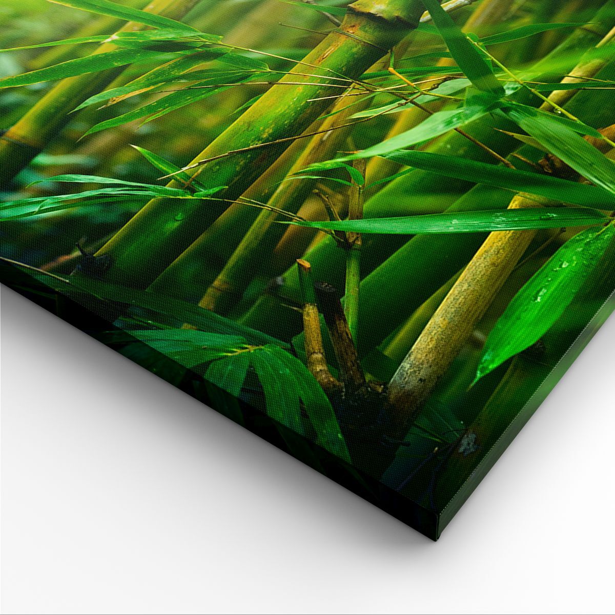 Impression sur Toile 100x40cm Tableaux Image Photo bambou plante Art ...