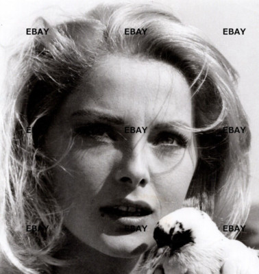 1965 Photo Virna Lisi Actress Dove Casanova 70 Embassy Pictures BW | eBay