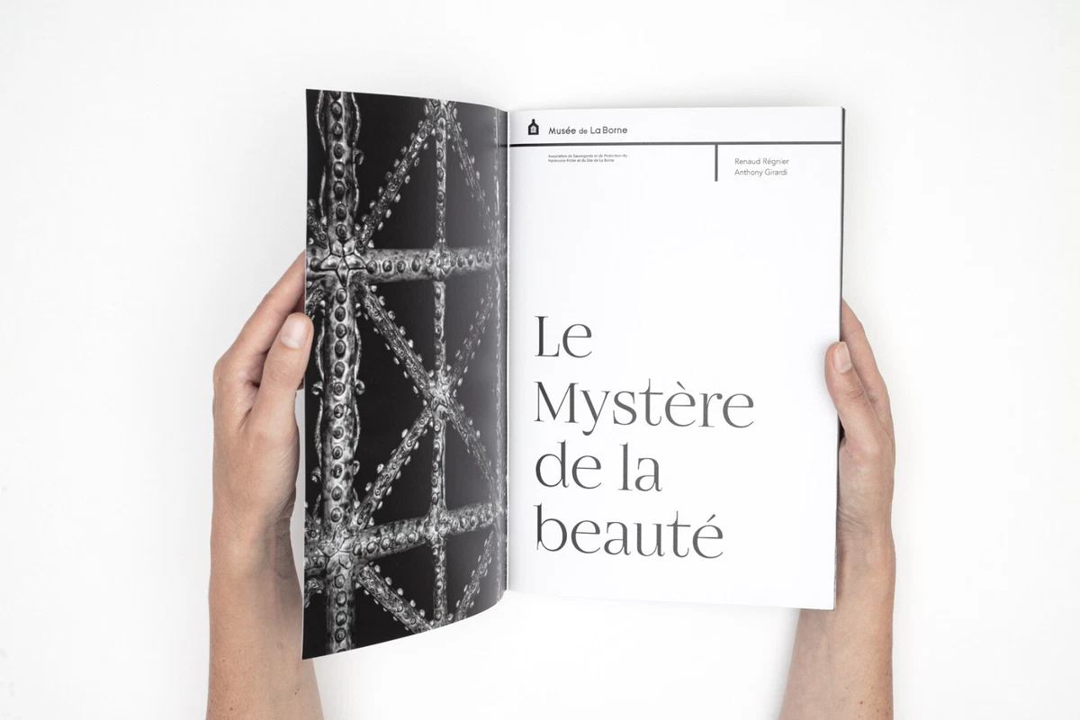 Le Mystere De La Beaute Outlet | emergencydentistry.com