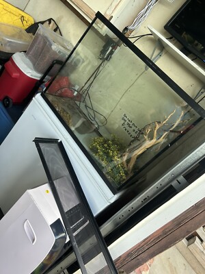 Reptile Tank Starter Kit - Suitable for Small Reptiles Such as Geckos ...