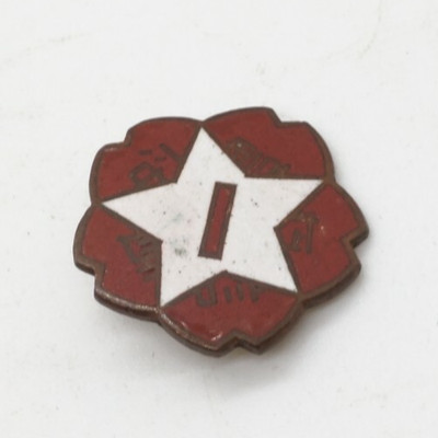 WWII Chinese or Japanese Military Pin | eBay