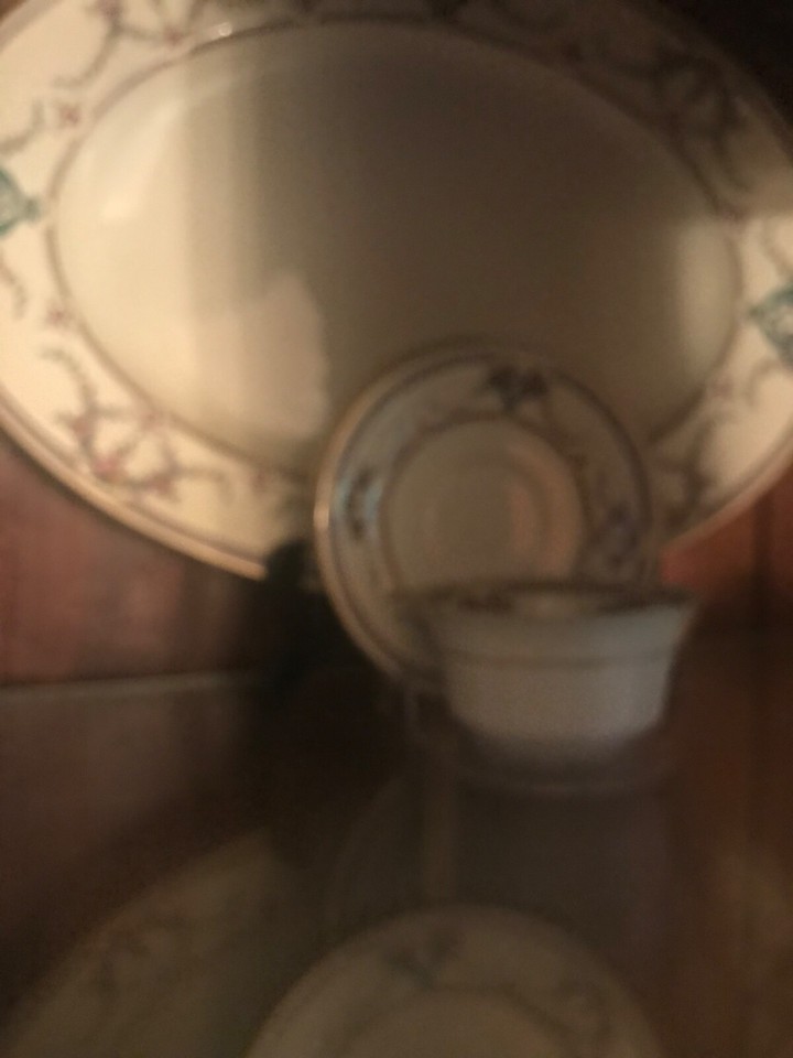 Rosenthale Ivory daphne pattern china | eBay