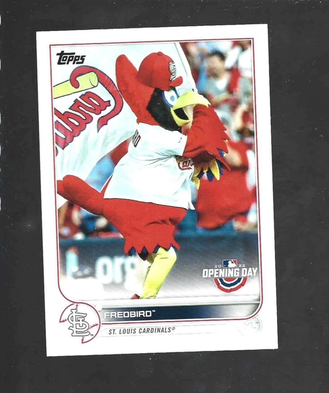2022 Topps Opening Day #M-20 Fredbird mascot card, St. Louis Cardinals ...
