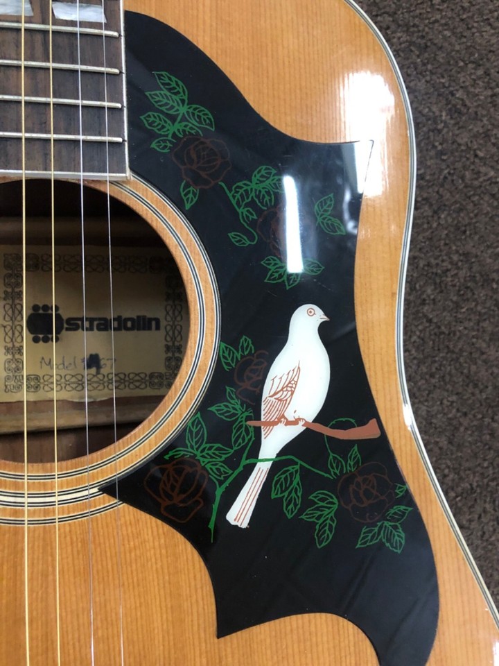 Cool Stradolin Acoustic Dove style Guitar - USED - A Must Have! Sounds ...