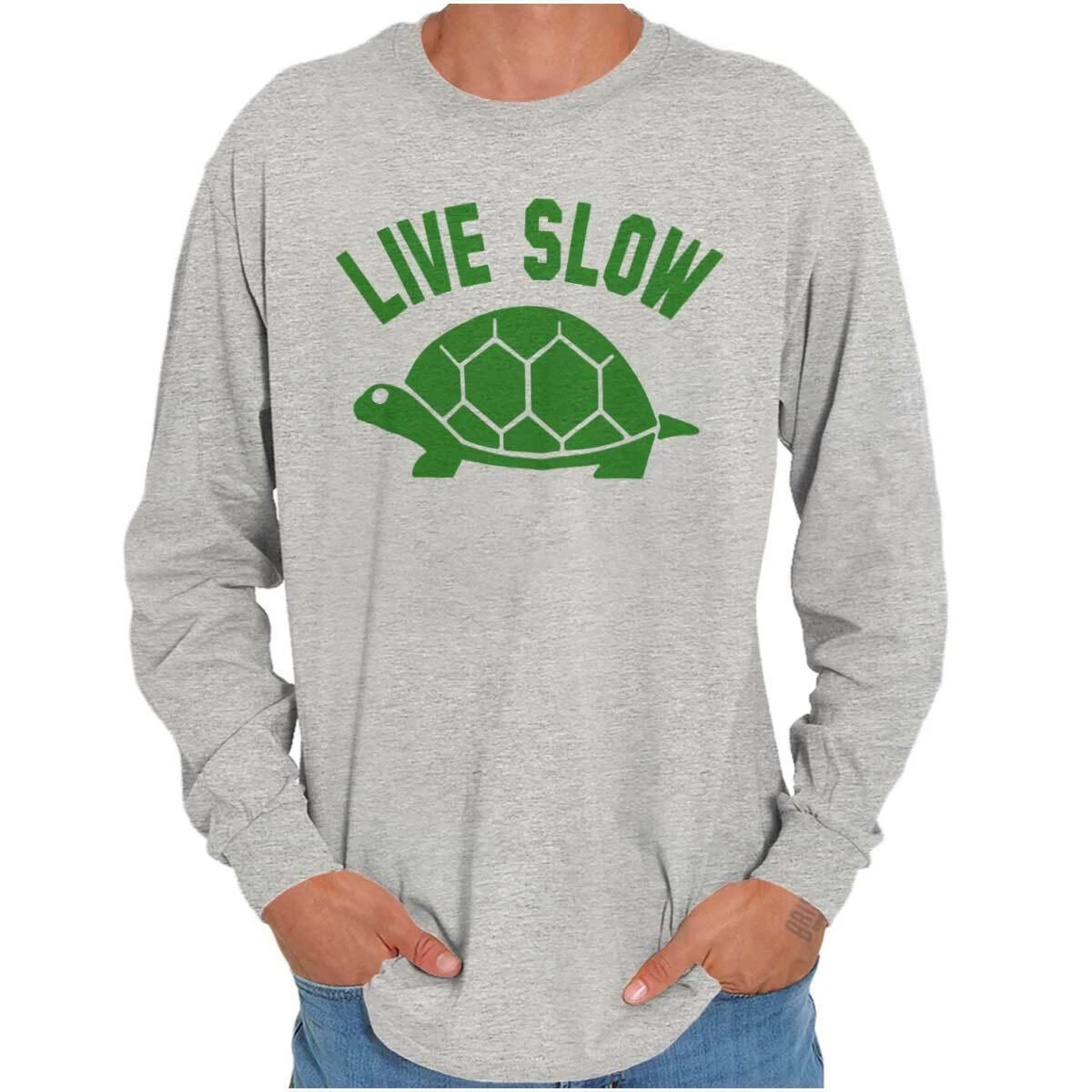 Slow Turtle Meme
