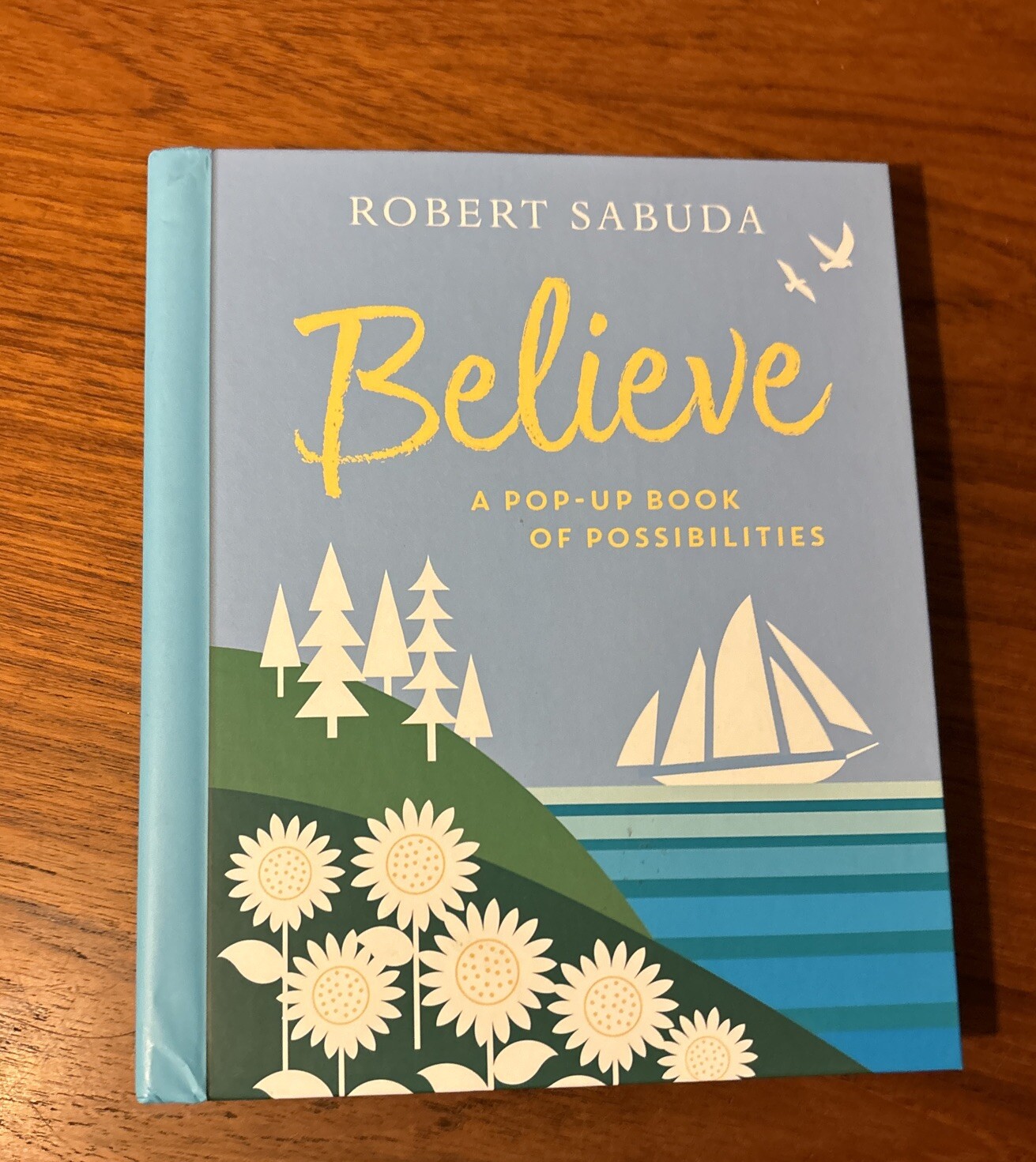 Believe : A Pop-Up Book of Possibilities by Robert Sabuda (2019 ...