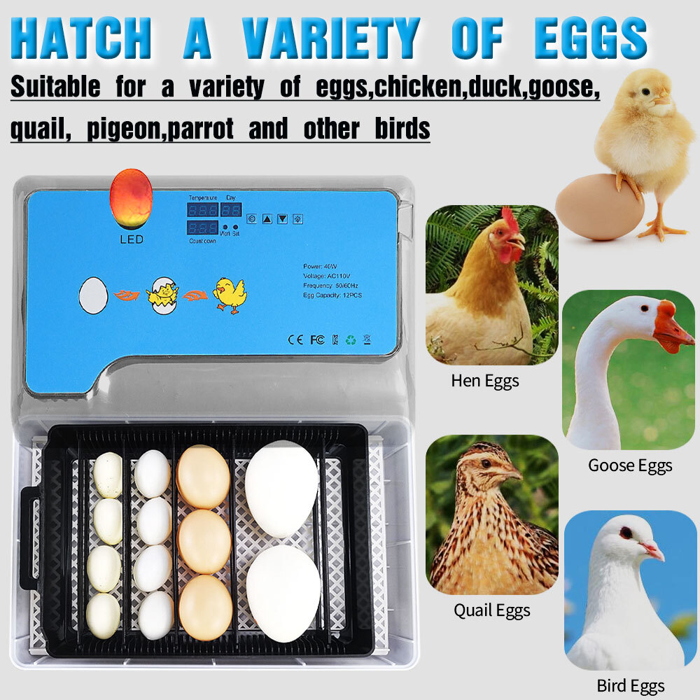 Egg Incubator Automatic Chicken Quail Chick Hatcher Incubators for ...
