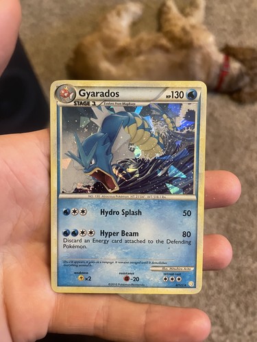 Gyarados 4/123 HeartGold SoulSilver HGSS 2010 Cracked Ice Pokémon Card ...