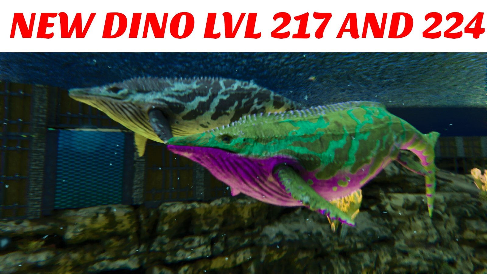 🔥ARK Survival Ascended PvE PC/XBOX/PS5 NEW Dino Shastasaurus High Level ...