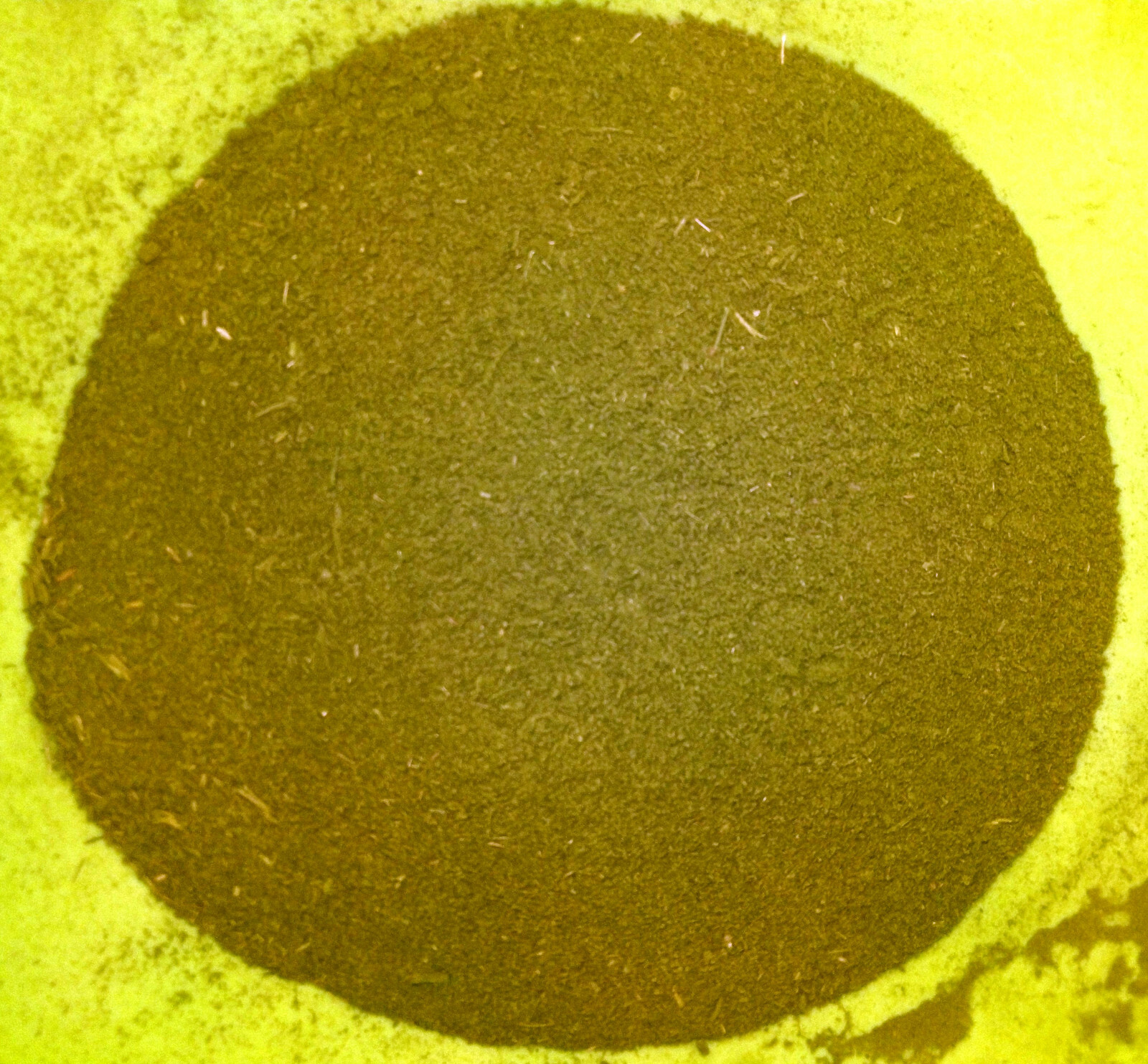 Tarragon Powder Meaning In English at Ellen Bushong blog