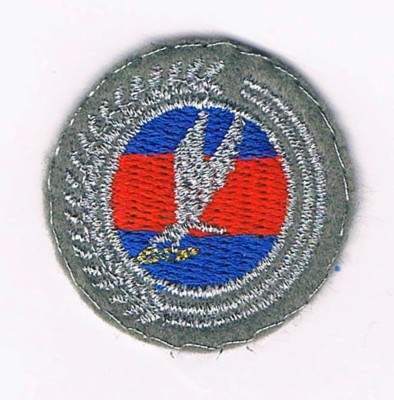 Army Polish Special Forces GROM patch beret Poland Eagle Pin Replica | eBay