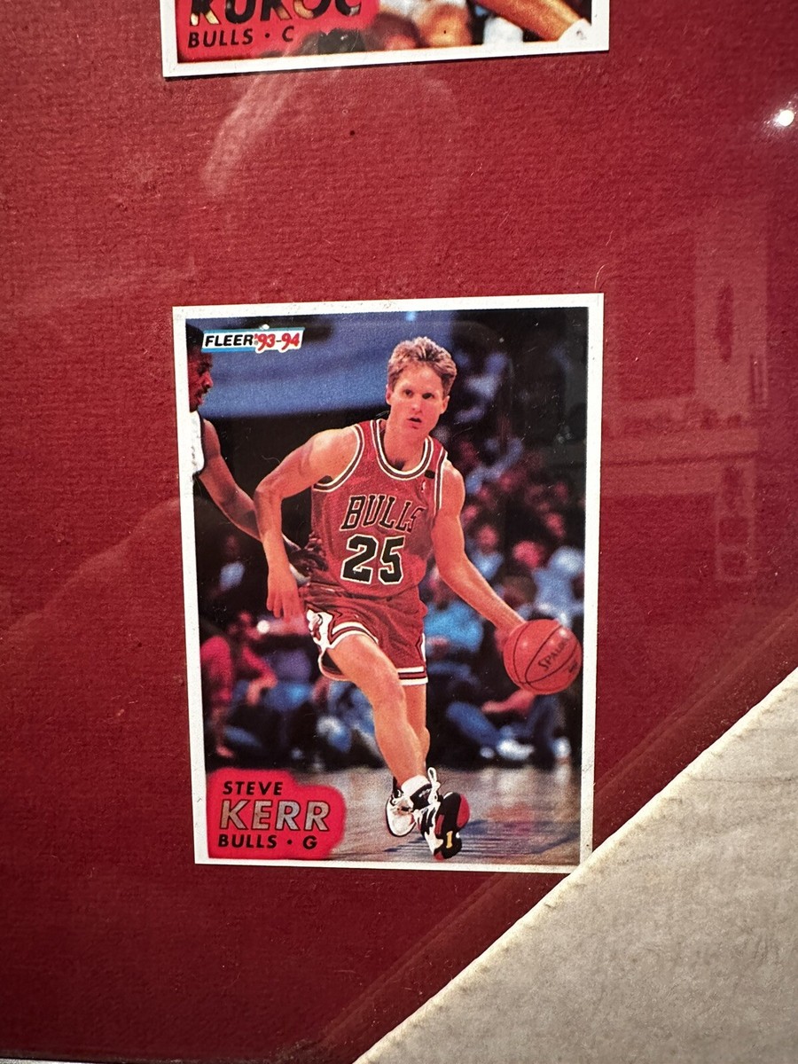 1995-96 NBA Chicago Bulls Framed Photo and Player Cards! 72 1995-96 NBA Chicago Bulls Framed Photo and Player Cards! 72