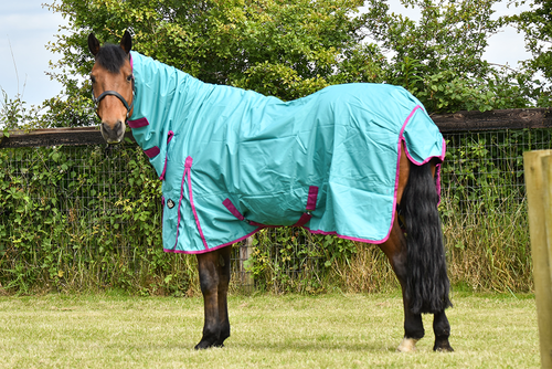 Horse Turnout Rug 50G Fill Combo Neck & Standard Neck Waterproof Horse ...