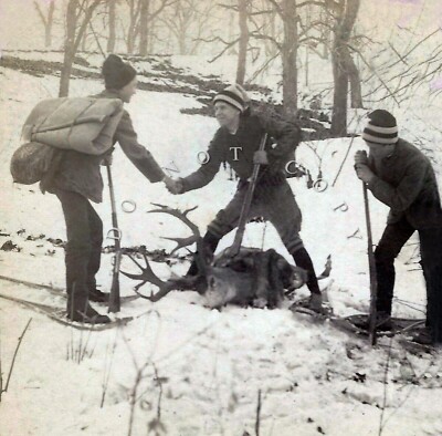 ANTIQUE EARLY PRE 1900 HUNTING REPRO 8X10 PHOTO MULE DEER HUNTING RIFLE ...