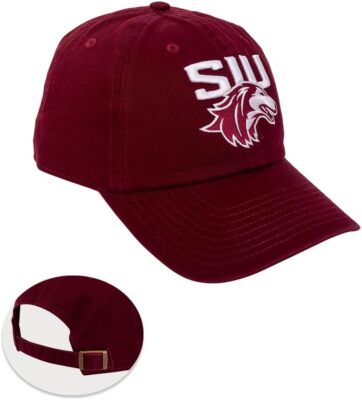 Desert Cactus Southern Illinois University Baseball Hat SIU Salukis ...