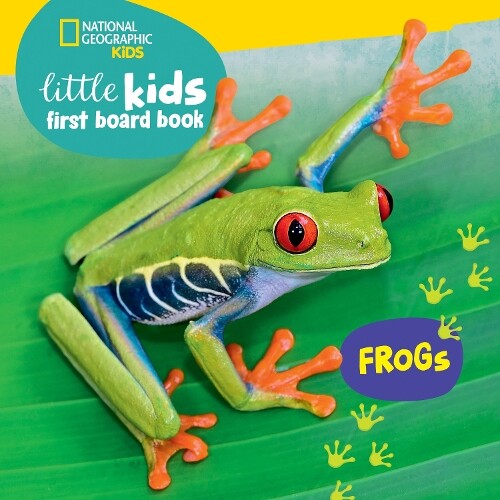 Ruth Musgrave Little Kids First Board Book: Frogs (Libro de cartón ...