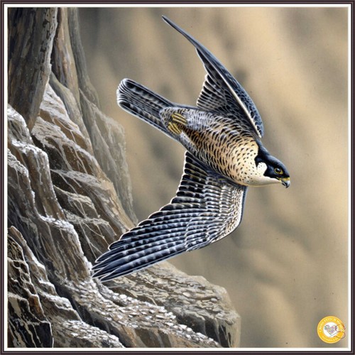 Peregrine Falcon 234 Chart Counted Cross Stitch Pattern DMC | eBay