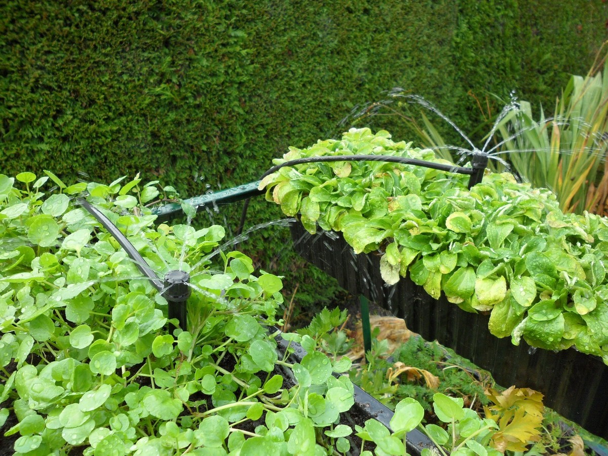 Commercial Farming Raised Bed The Future Of Medium Scale Commercial