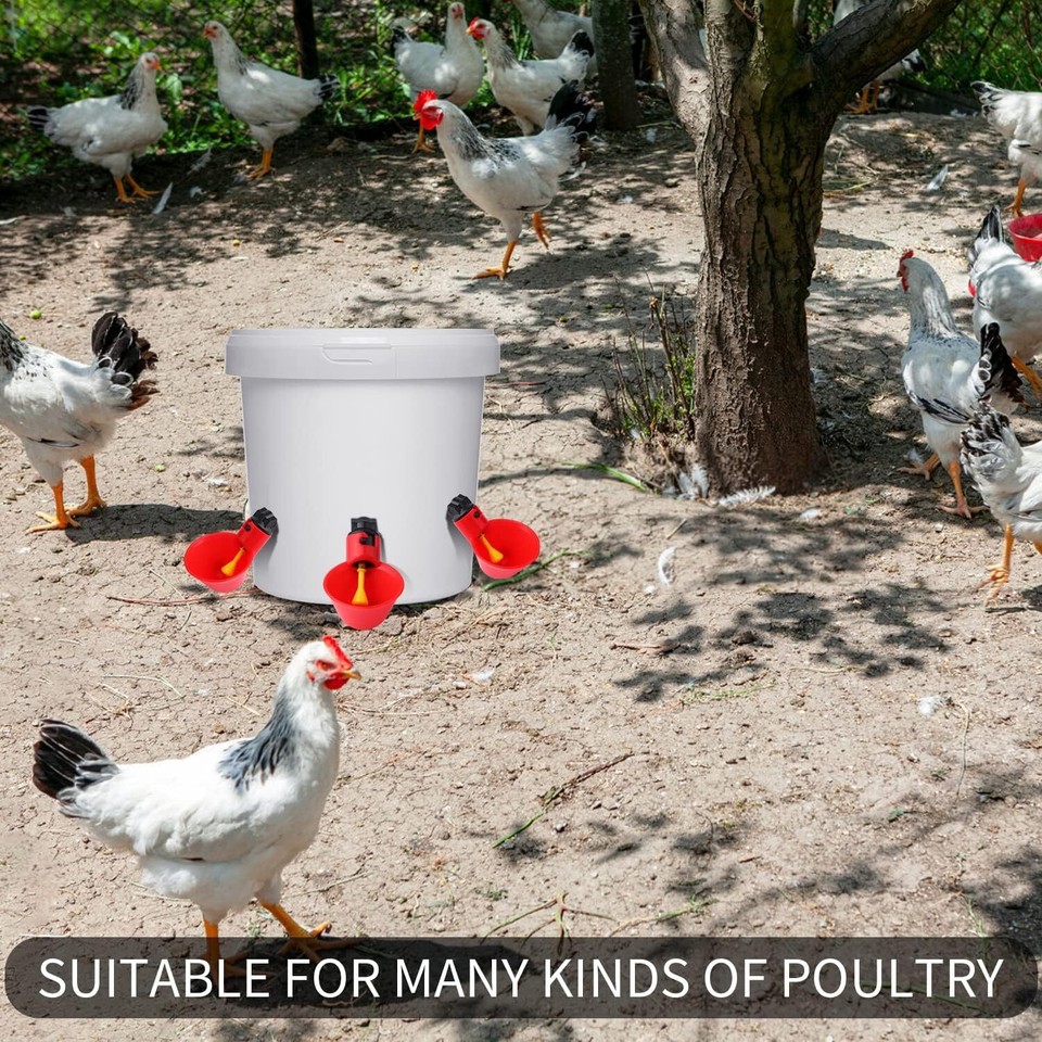 20*Poultry Drinking Watering Cups for Chicken Quail Water Cups Drinker ...
