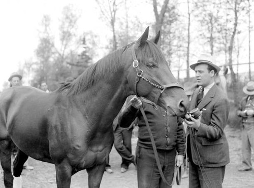 Race Horse Seabiscuit & Red Pollard Etc 1930s 58 Old Horse Racing Photo ...