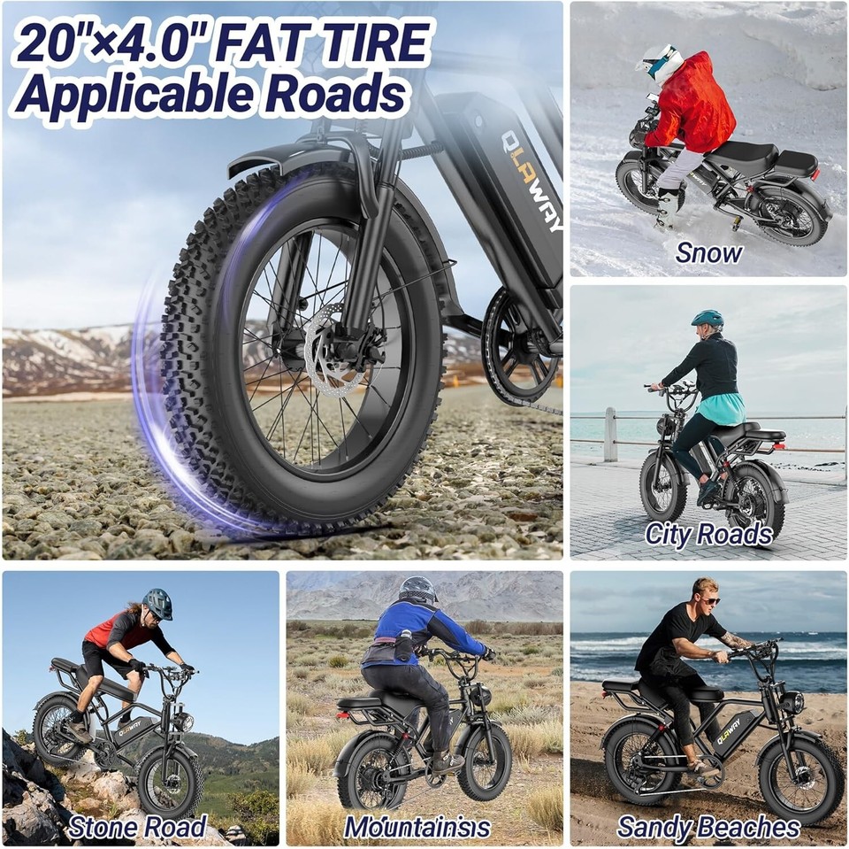 Fat Tire Electric Dirt Bike 750w Adults 20" Electric Motorcycle Ebikes ...
