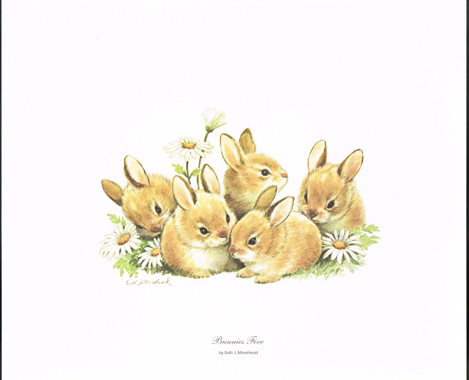 Bunnies Five by Ruth J. Morehead Open Edition Heavy Stock Print | eBay