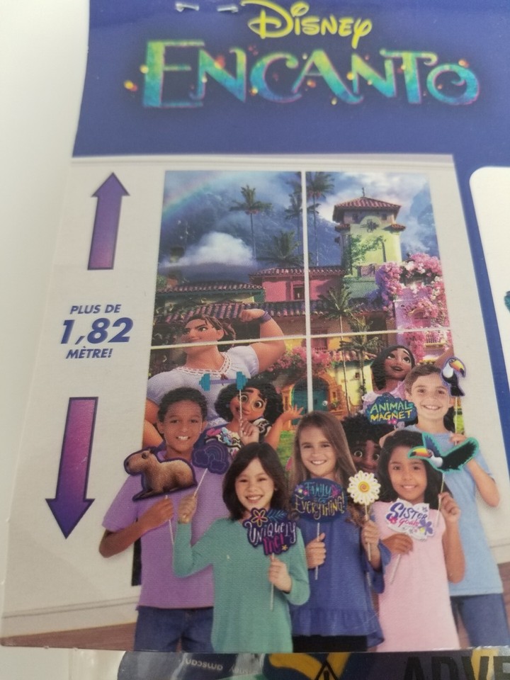 Encanto Disney Scene Setters with Props Photo Booth Birthday Party ...