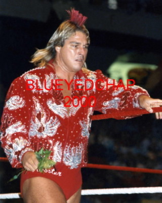 TERRY TAYLOR WRESTLER 8 X 10 WRESTLING PHOTO WWF NWA | eBay