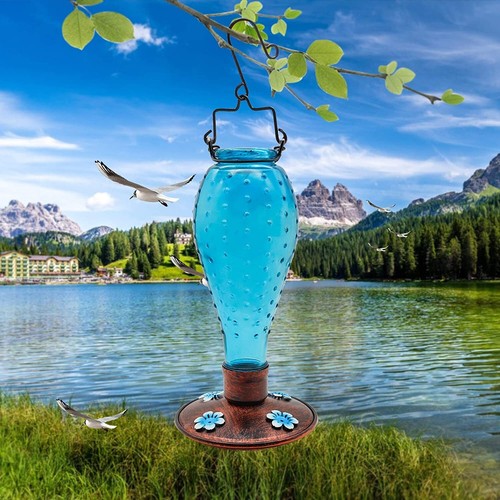 Hummingbird Feeder Hand Blown Glass Bird Feeder 22 Oz Garden Backyard ...
