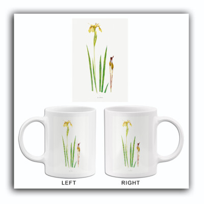 Iris Wilsoni - 1900's - William Dykes - Botanical Illustration Mug | eBay