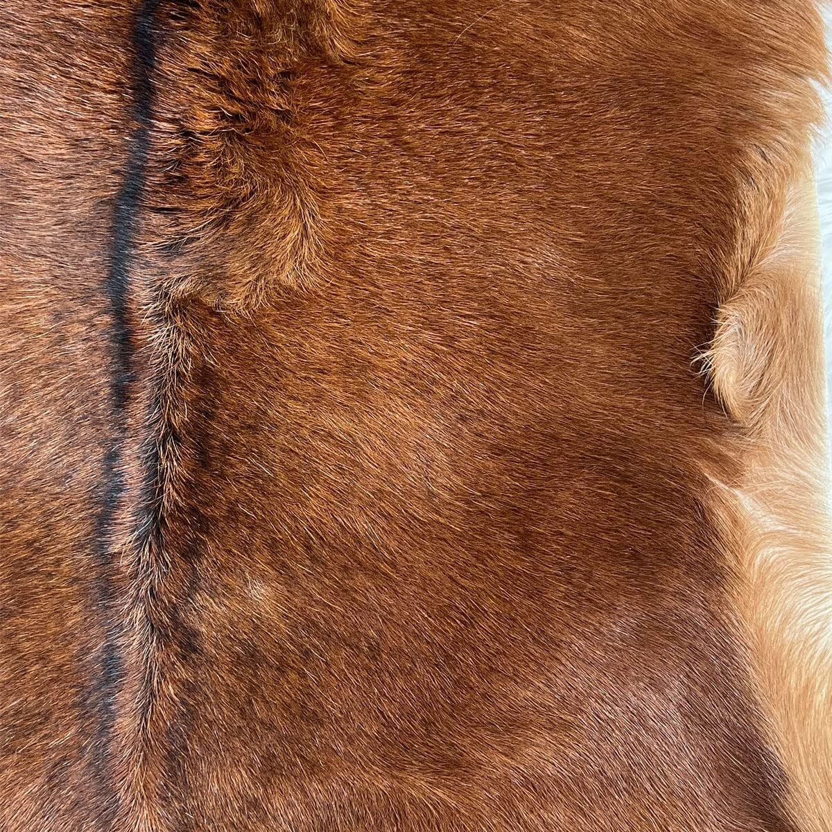 Red Deer Hide Rug Deer Skin Rug Deer Taxidermy Fireplace Deerskin Decor ...