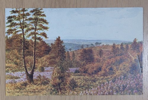 Surrey Postcard: Golden Valley, Hindhead near Haslemere by Artist A R ...