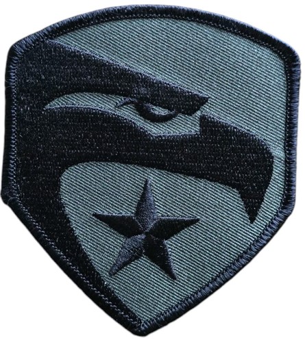 GI JOE EAGLE HAWK LOGO COMBAT MOVIE EMBROIDERED D-GREEN IRON ON ...