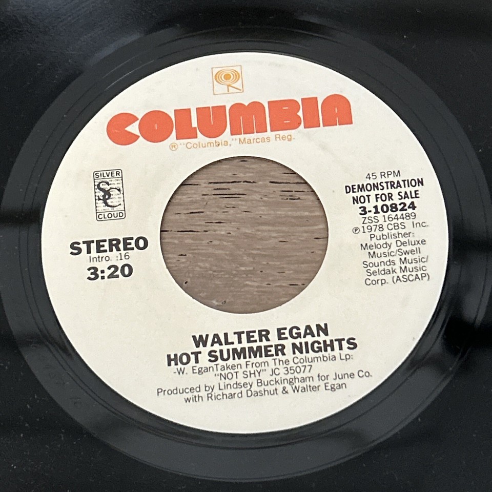 WALTER EGAN: Hot Summer Nights Promo Edition Stereo/ Mono, 45 RPM 7" Vinyl NM | eBay