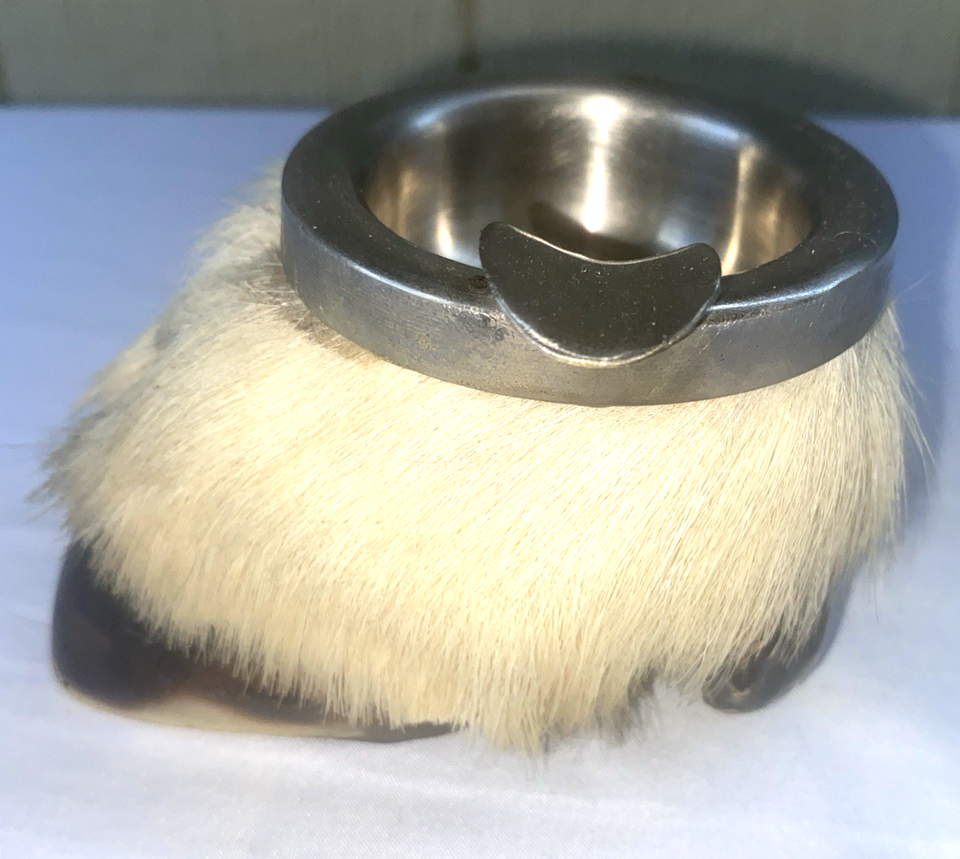 Vintage Antique Taxidermy Goat Hoof Ashtray | eBay