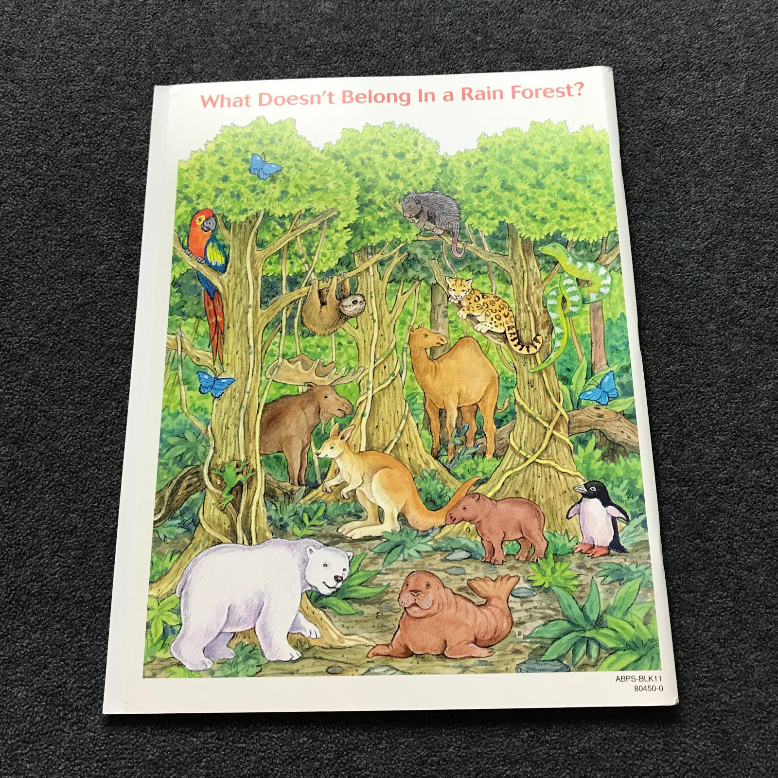 Rain Forest (Learning Adventure Preschool) Paperback Brighter Vision ...