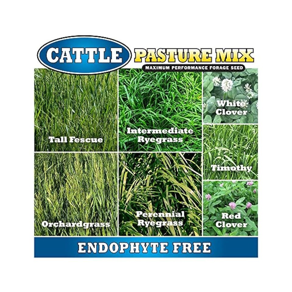 Long,Lasting Pasture Seed Mix, 25 lb, Ideal for Grazing & Hay ...