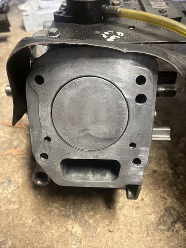 Briggs animal racing engine | eBay