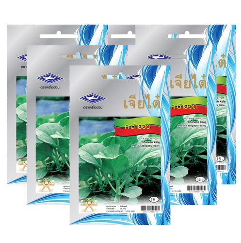 Chinese Kale Seeds Asian Fresh Vegetable Thai Seeds Home Garden x6 ...