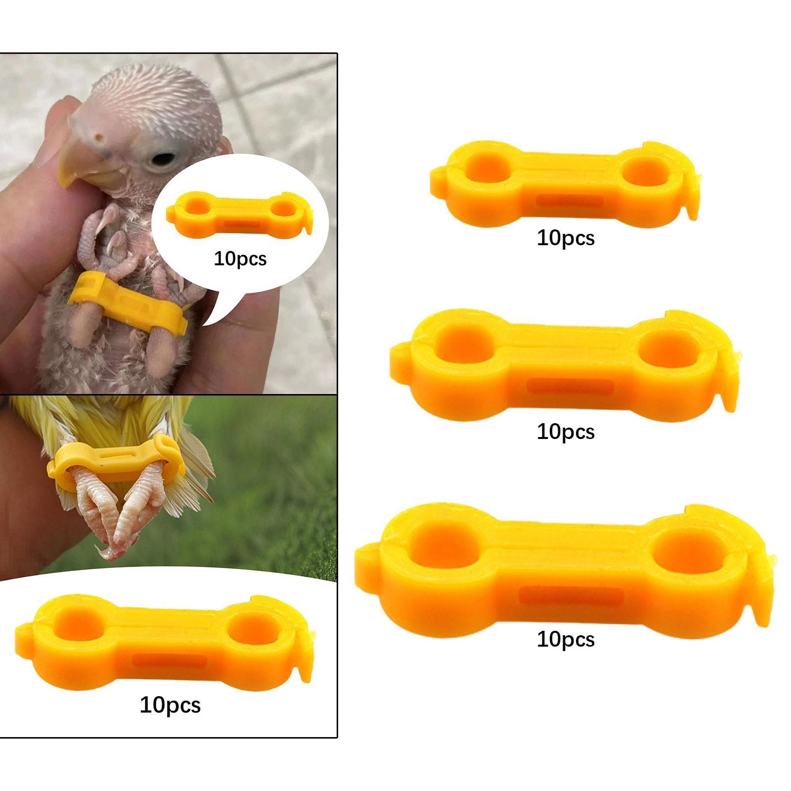 10x Chicken Leg Bands Outer Inner Leg Fixing Clamps Chicken Hobble ...