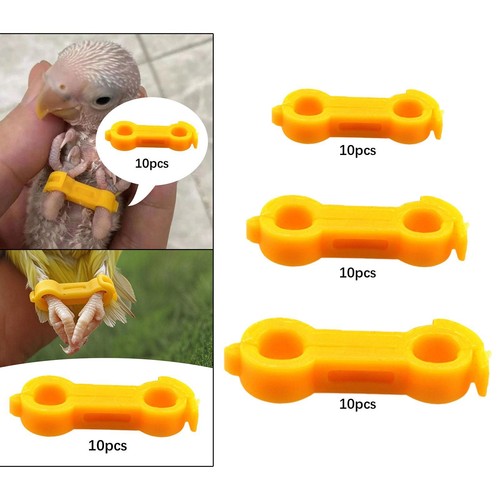 10x Chicken Leg Bands Outer Inner Leg Fixing Clamps Chicken Hobble ...