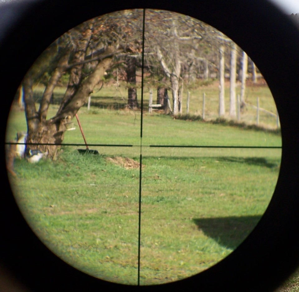 Bausch & Lomb Elite 2.5-10x40mm Rifle Scope ~4200~ Silver | eBay