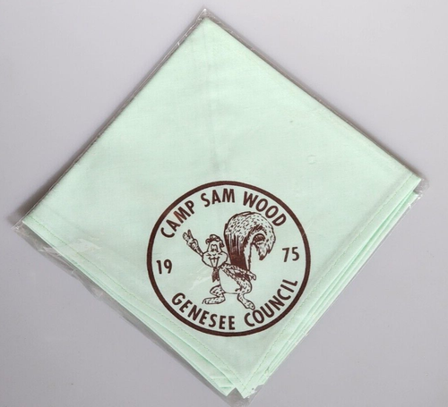 Boy Scouts BSA Camp Sam Wood Genesee Council 1975 | eBay