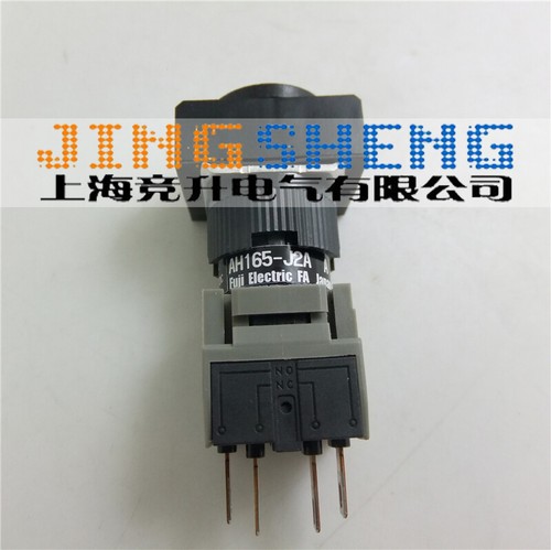 1PC New FUJI hole 16 square two gear key selector switch AH165-J2A11A # ...