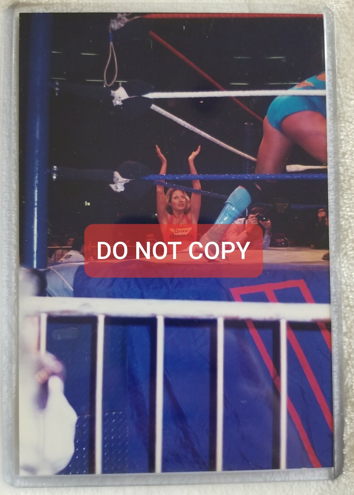 The Bodydonnas Sunny Tammy Lynn Sytch 4x6 Photo Original Vintage WWF ...