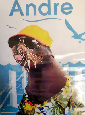 Andre (DVD, 2002) Seal Movie 97360911640| eBay