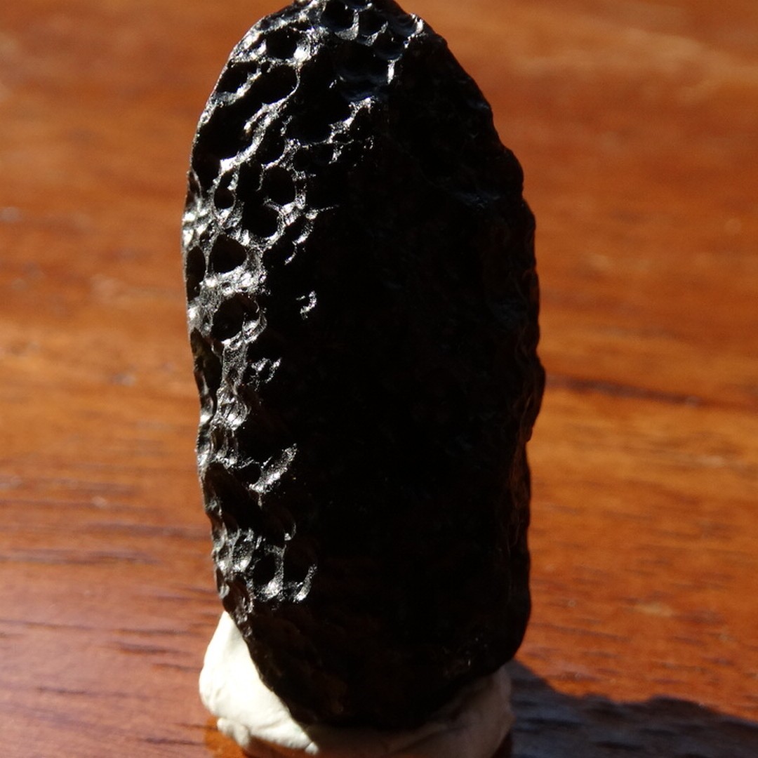 Natural Rough Brown Black Tektite 65.95 ct "Stunning_Gemstones" | eBay