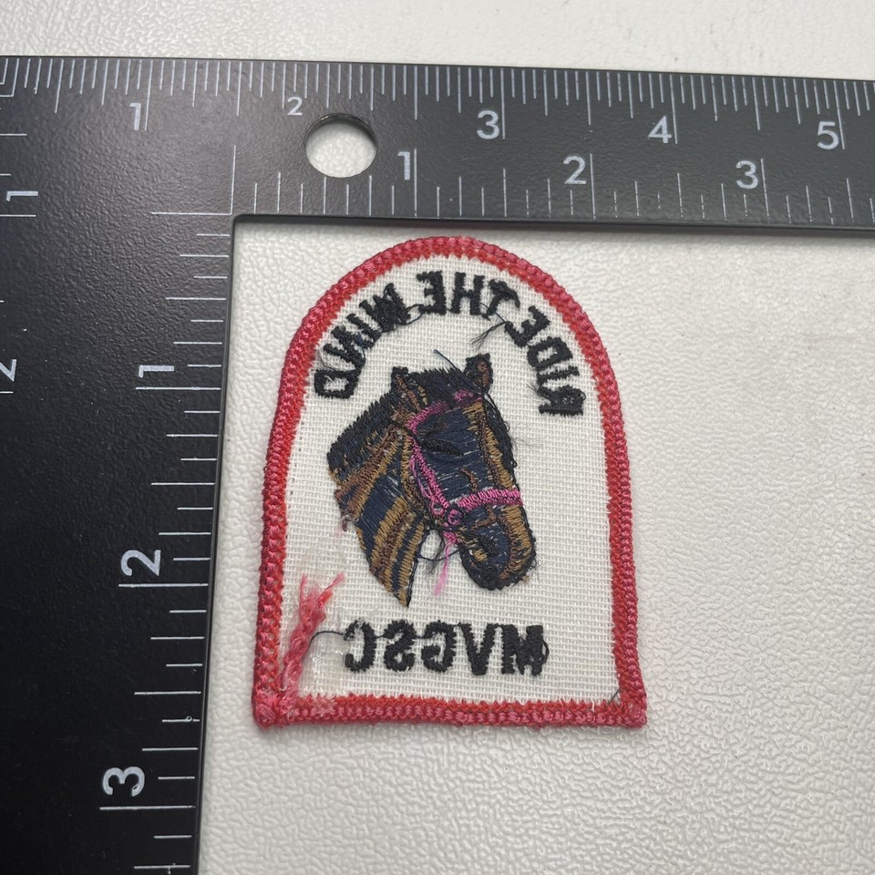 MVGSC Girl Scouts RIDE THE WIND Patch Brown Horse B043 | eBay
