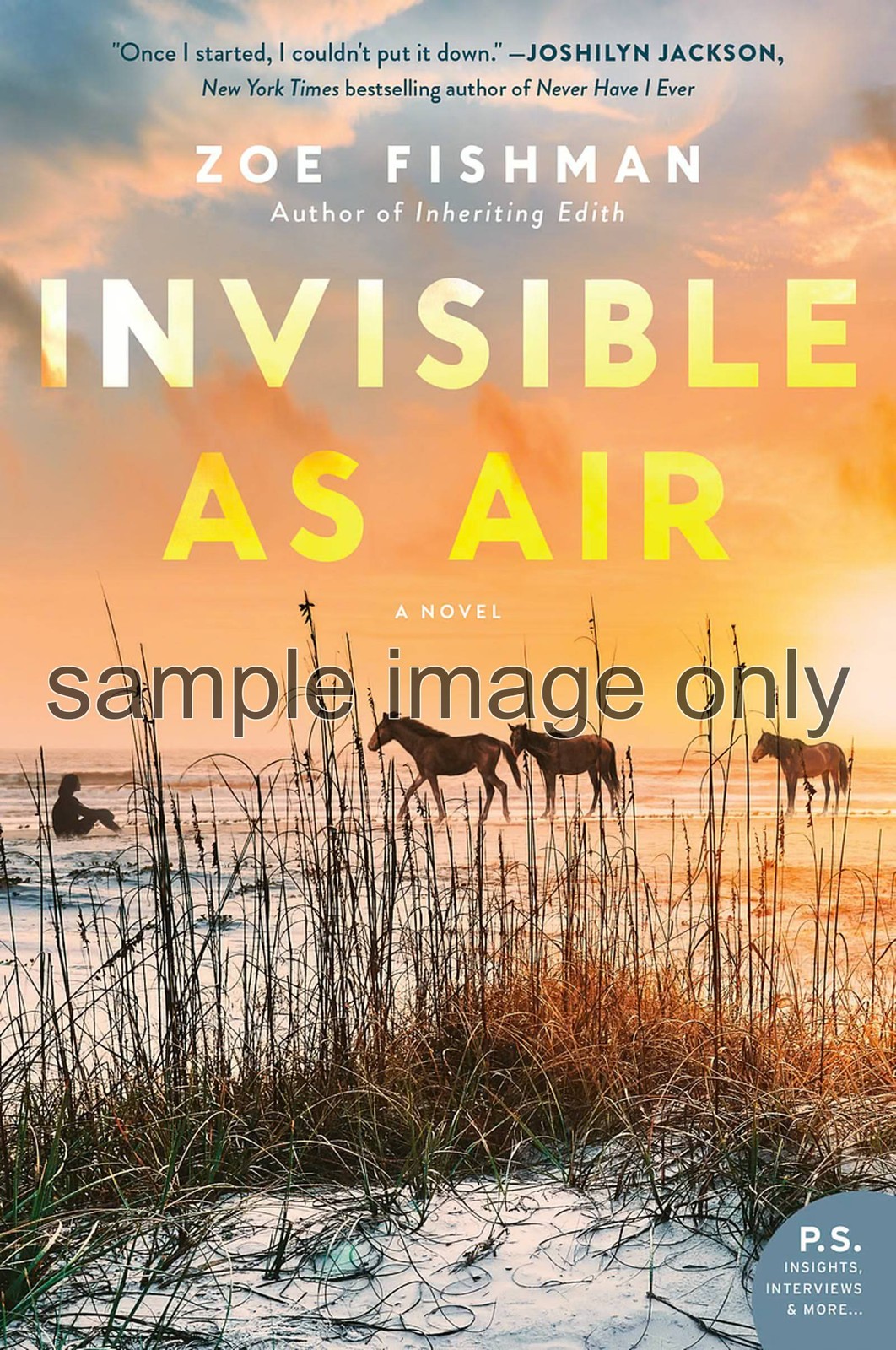 Invisible As Air by Zoe Fishman 9780062838230 | eBay Australia